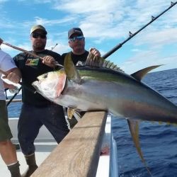 Red Rooster III - Sport Fishing - H&M Landing - San Diego, California