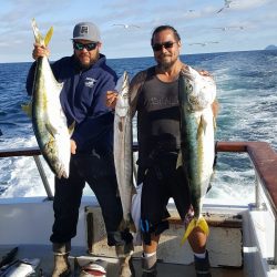 Malihini - Sport Fishing - H&M Landing - San Diego, California