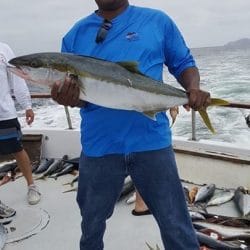 Malihini - Sport Fishing - H&M Landing - San Diego, California