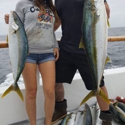 Malihini - Sport Fishing - H&M Landing - San Diego, California