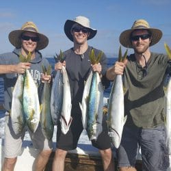 Malihini - Sport Fishing - H&M Landing - San Diego, California