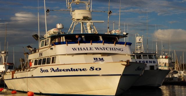 The Real Sea Adventure 80 – H & M Landing Bookings